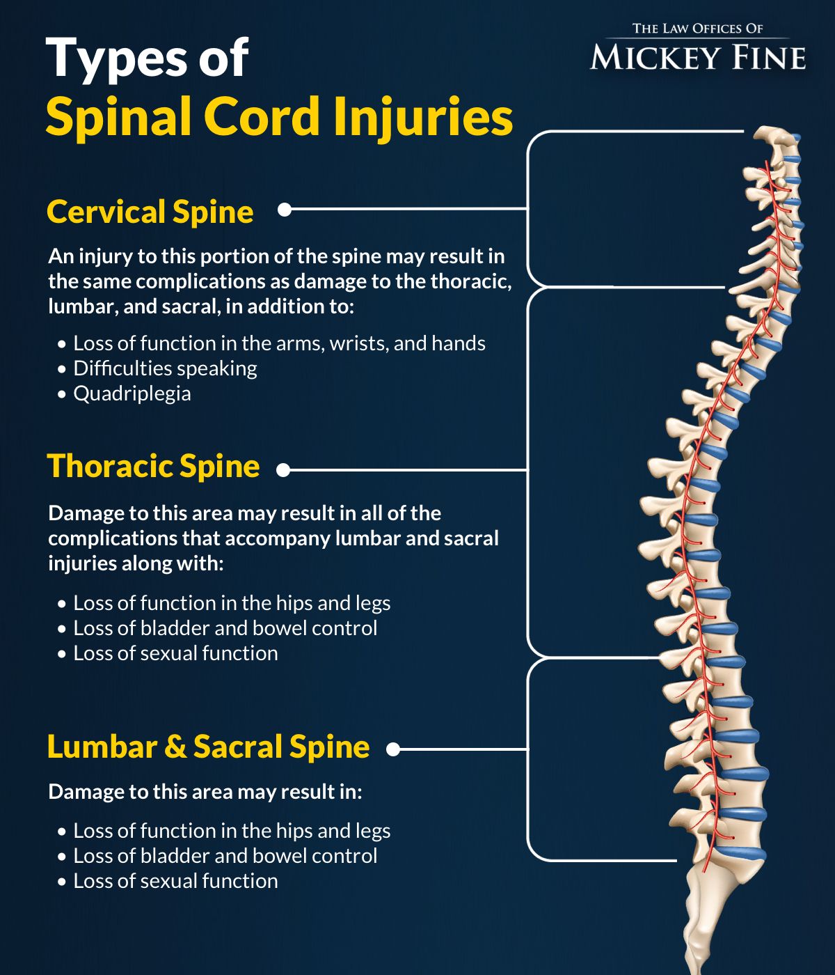 Types Of Lumbar Spine Injuries - Design Talk